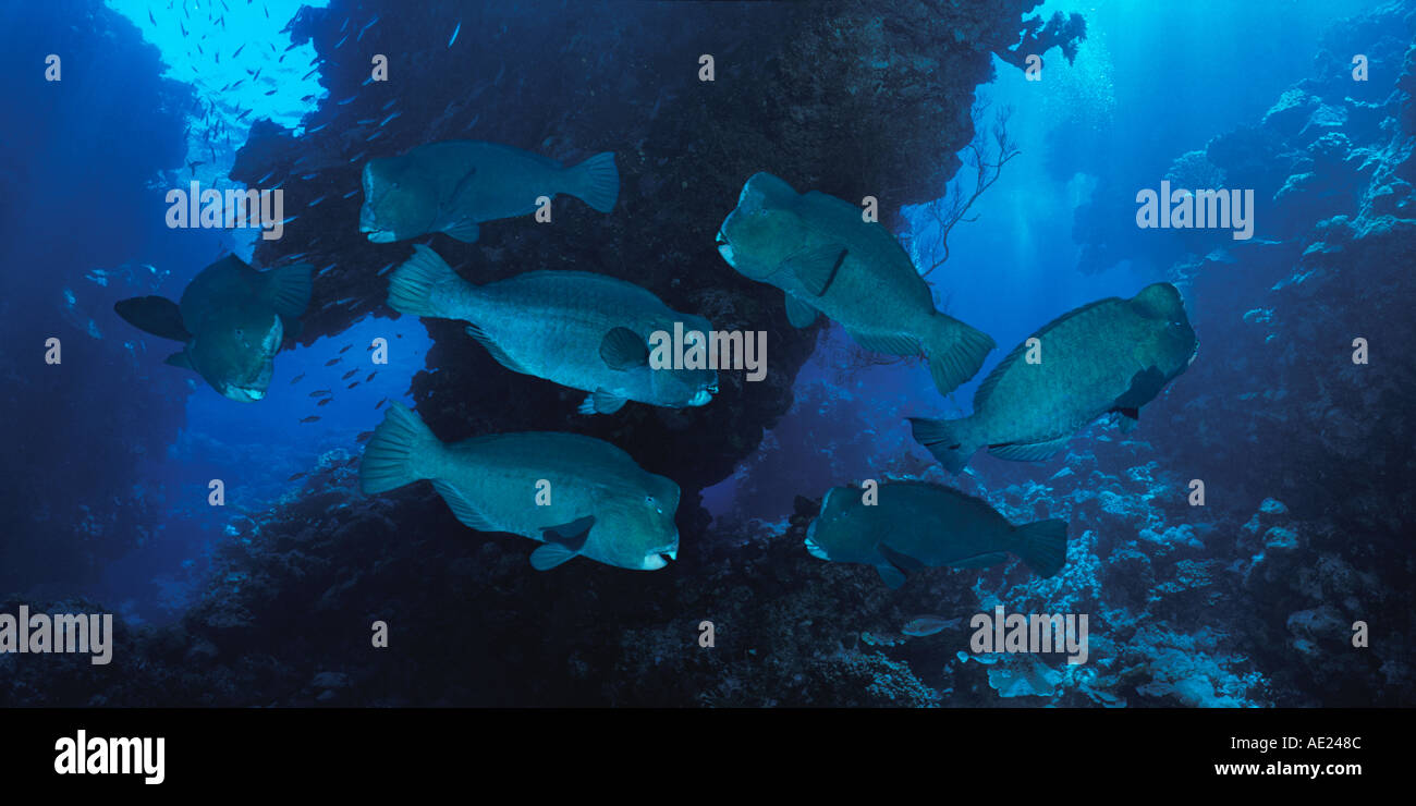 Shoal gully hi-res stock photography and images - Alamy