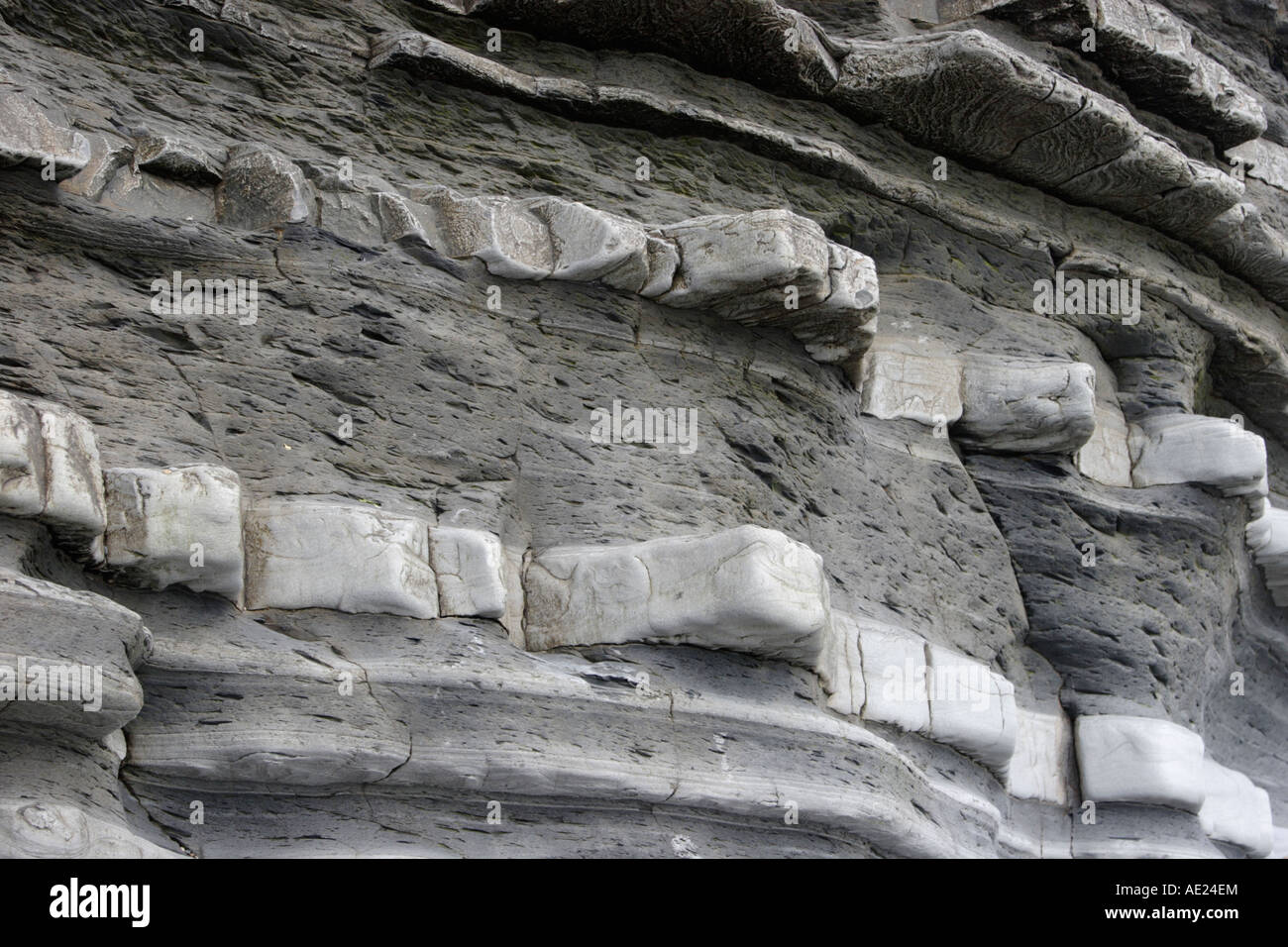 Mudstone hi-res stock photography and images - Alamy