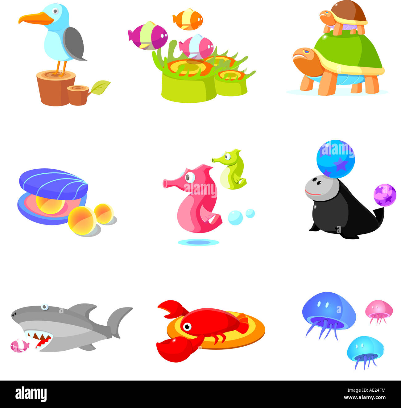 Close-up of various aquatic animals Stock Photo - Alamy