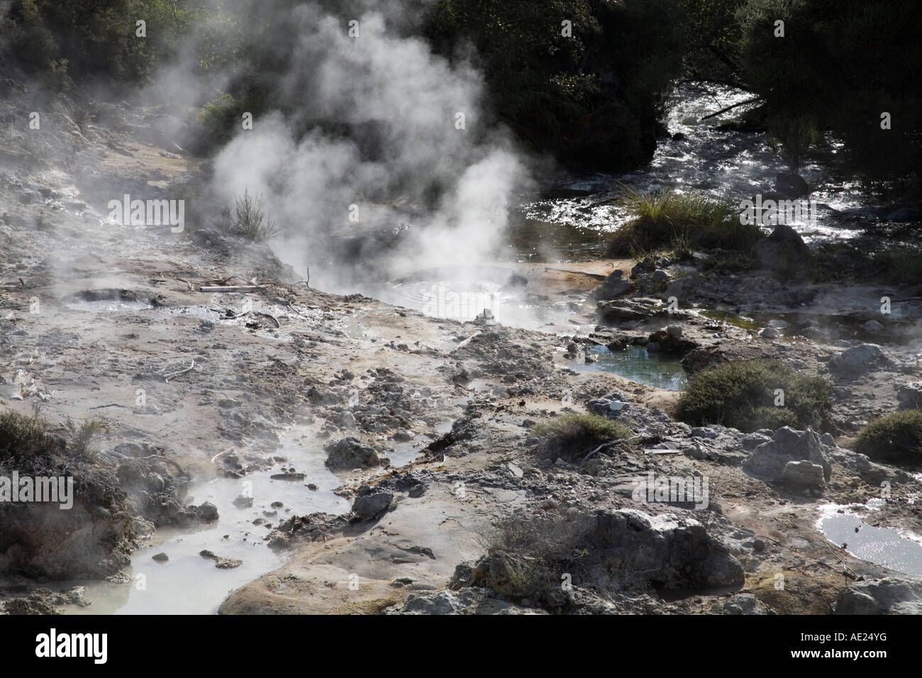 ROTORUA NORTH ISLAND NEW ZEALAND May Cauldrons of boiling mud in the ...