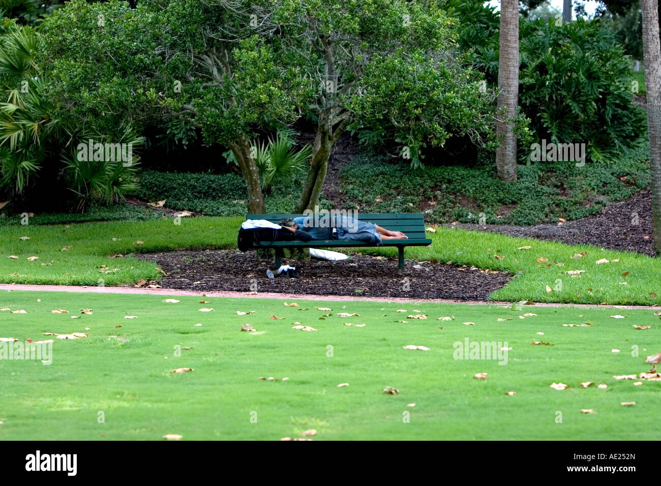 Transient Homeless Man Asleep on a City Park Bench Stock Photo - Alamy