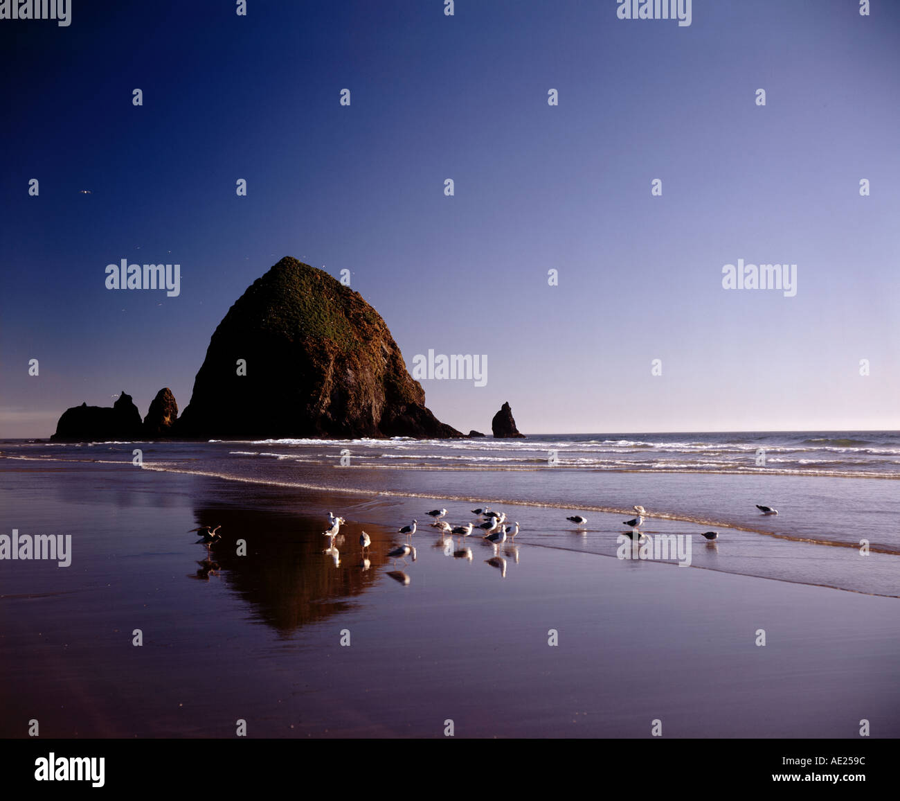Haystack Rock at Cannon Beach Oregon USA Stock Photo - Alamy