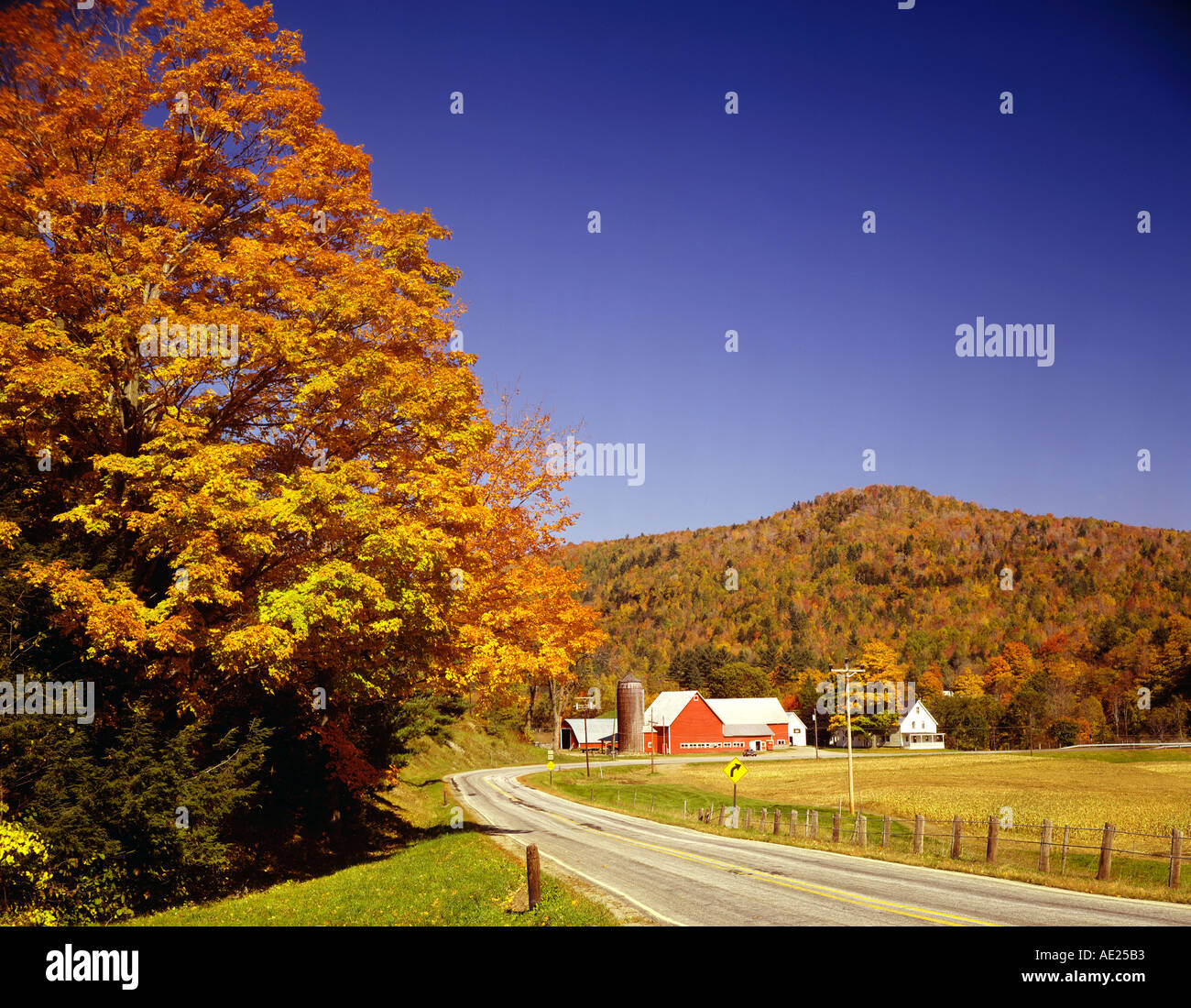farm near Cooperstown New York USA during fall foliage season Stock ...