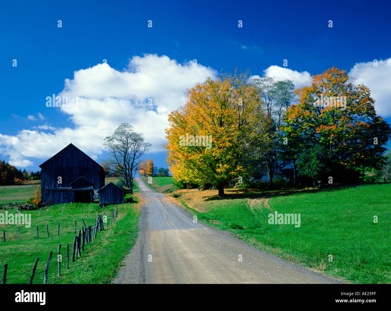 farm and backroad in Vermont USA during fall foliage season Stock Photo ...