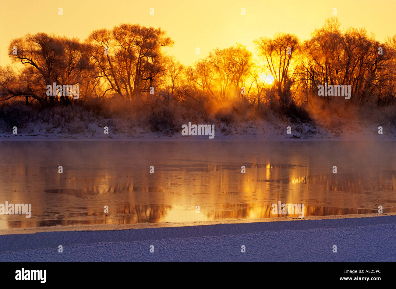 Winter along Red River, Manitoba, Canada Stock Photo - Alamy