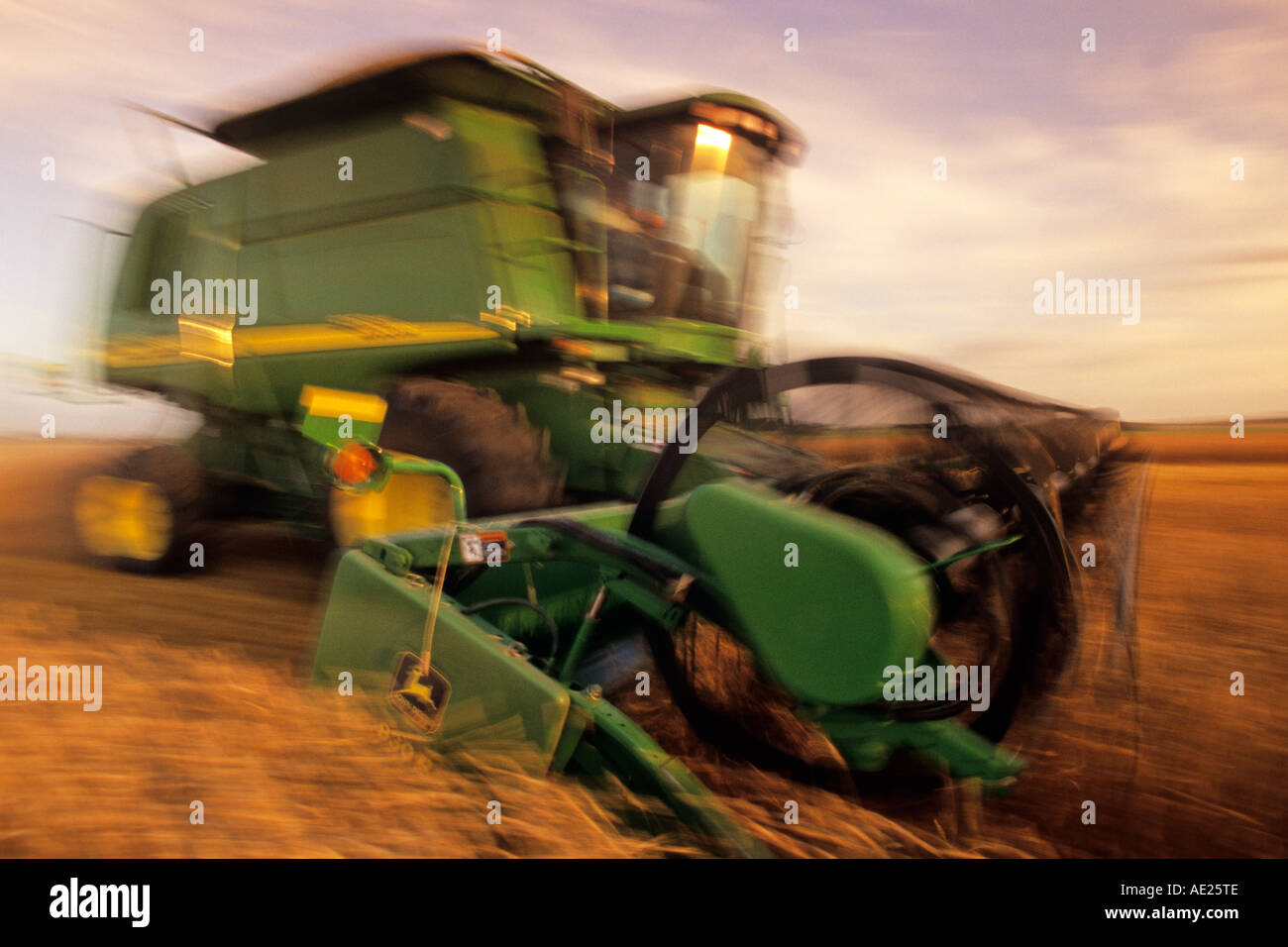 winter wheat harvest spring wheat harvest, Canadian Prairies near ...