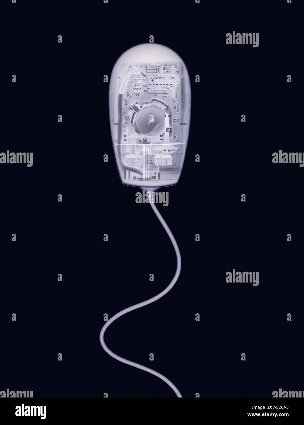 Xray computer mouse hi-res stock photography and images - Alamy