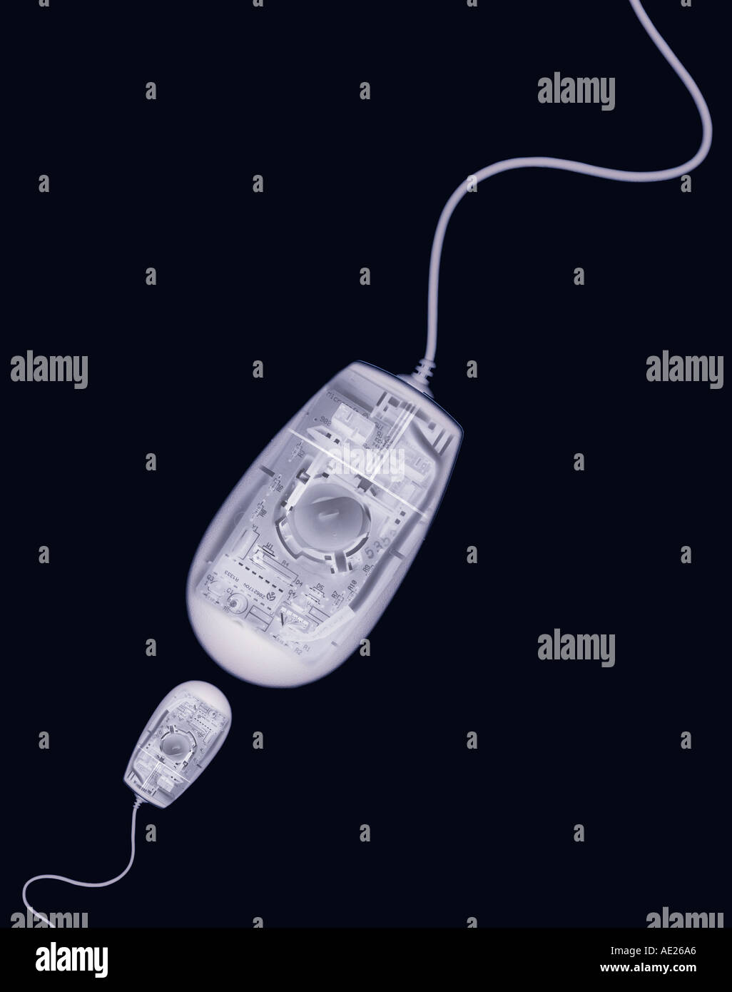 Xray computer mouse hi-res stock photography and images - Alamy