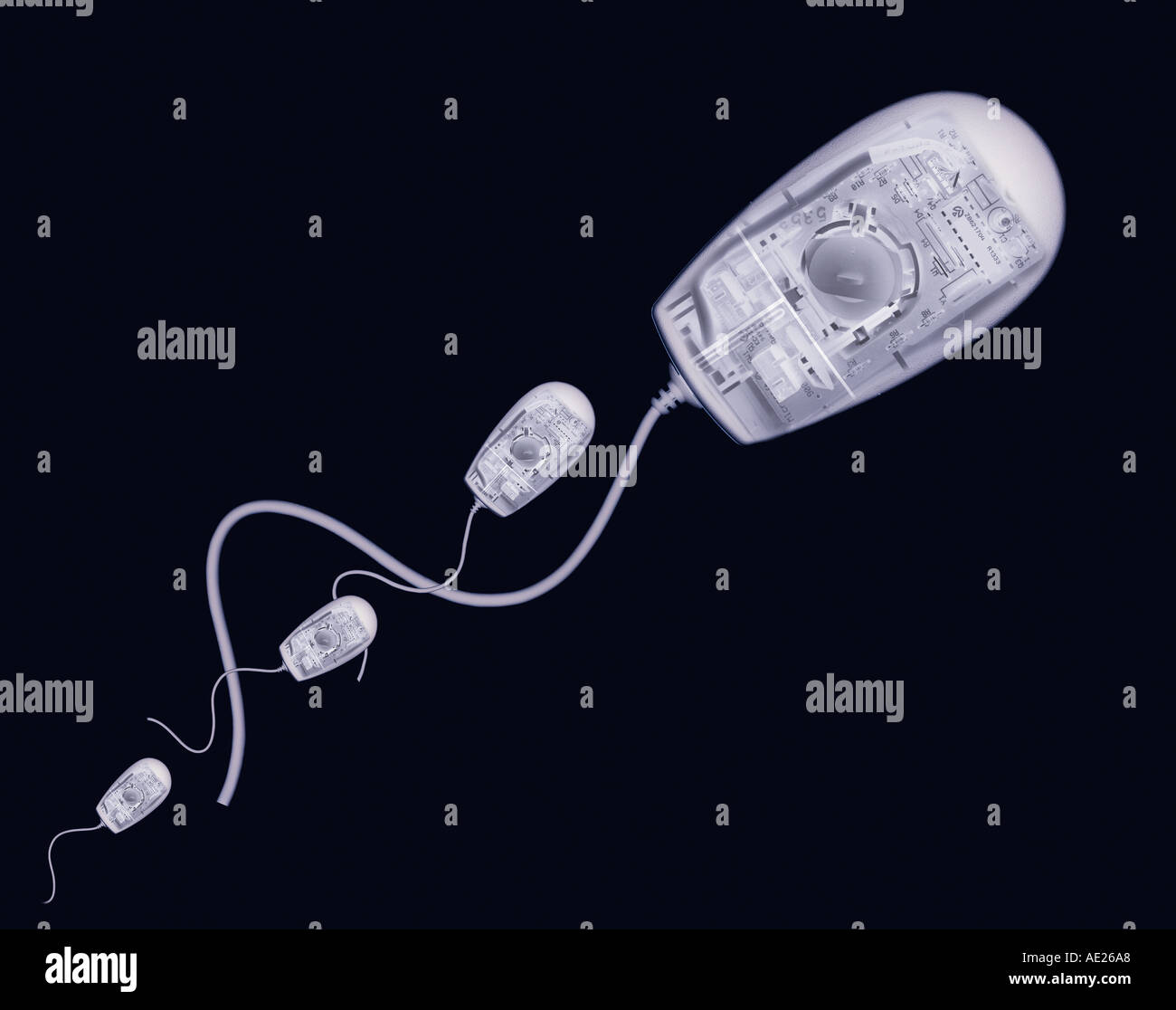 X Ray Computer Mouse Computer High Resolution Stock Photography and ...