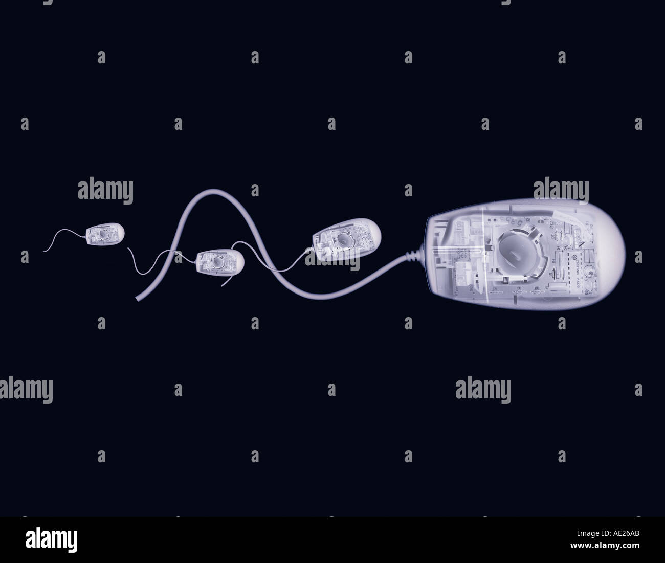 Xray computer mouse hi-res stock photography and images - Alamy