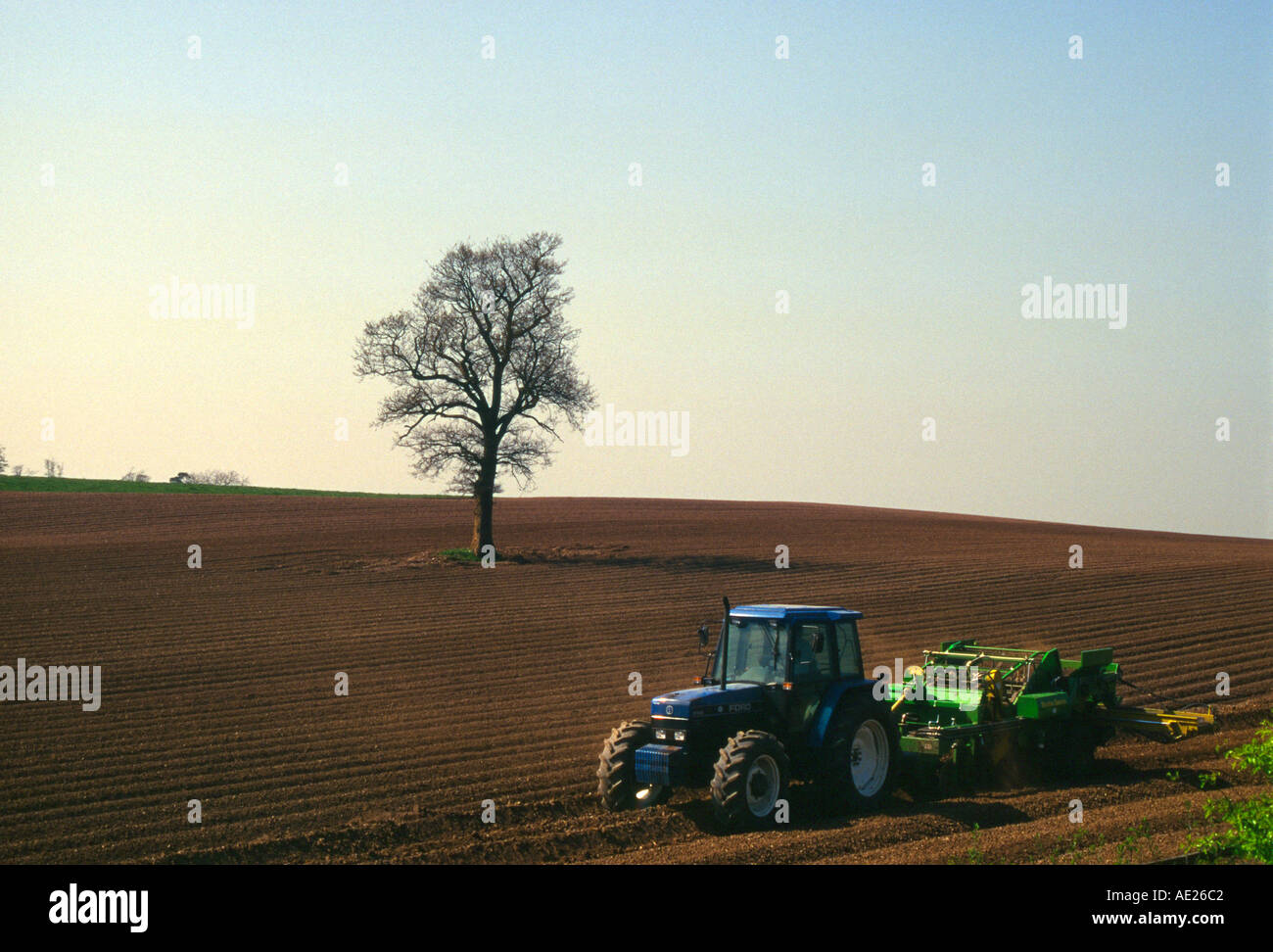 Planting tree uk soil hi-res stock photography and images - Alamy