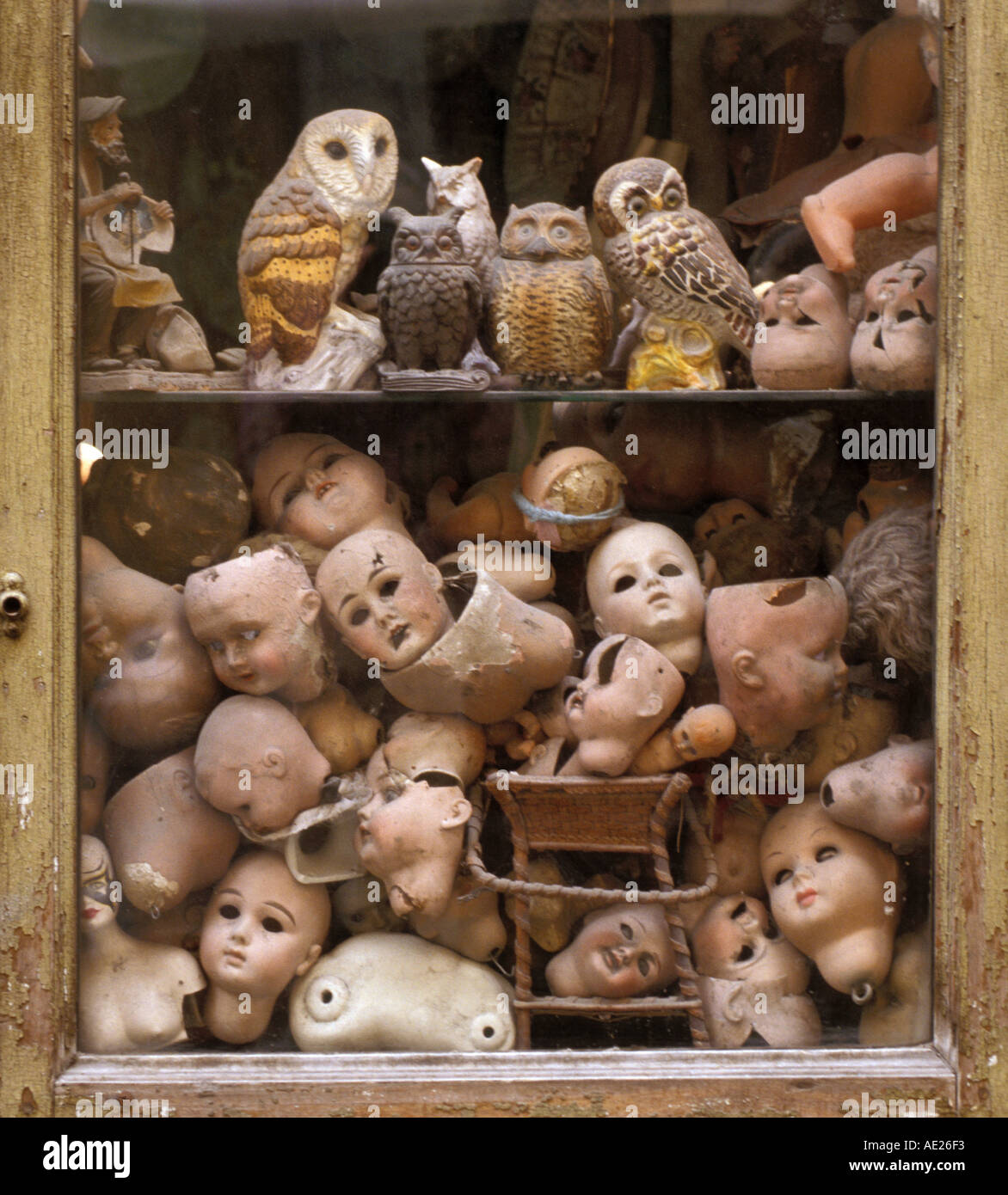 Italy Rome Dolls heads in a shop window Stock Photo - Alamy