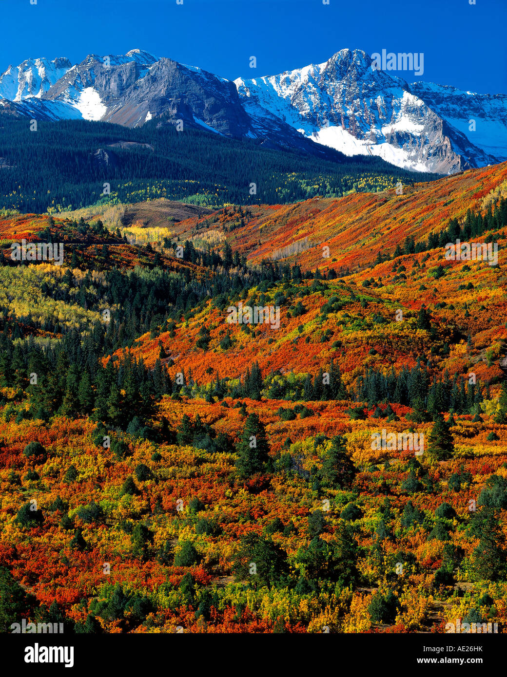 Autumn Colors Rocky Mountains Colorado USA, by Willard Clay/Dembinsky ...