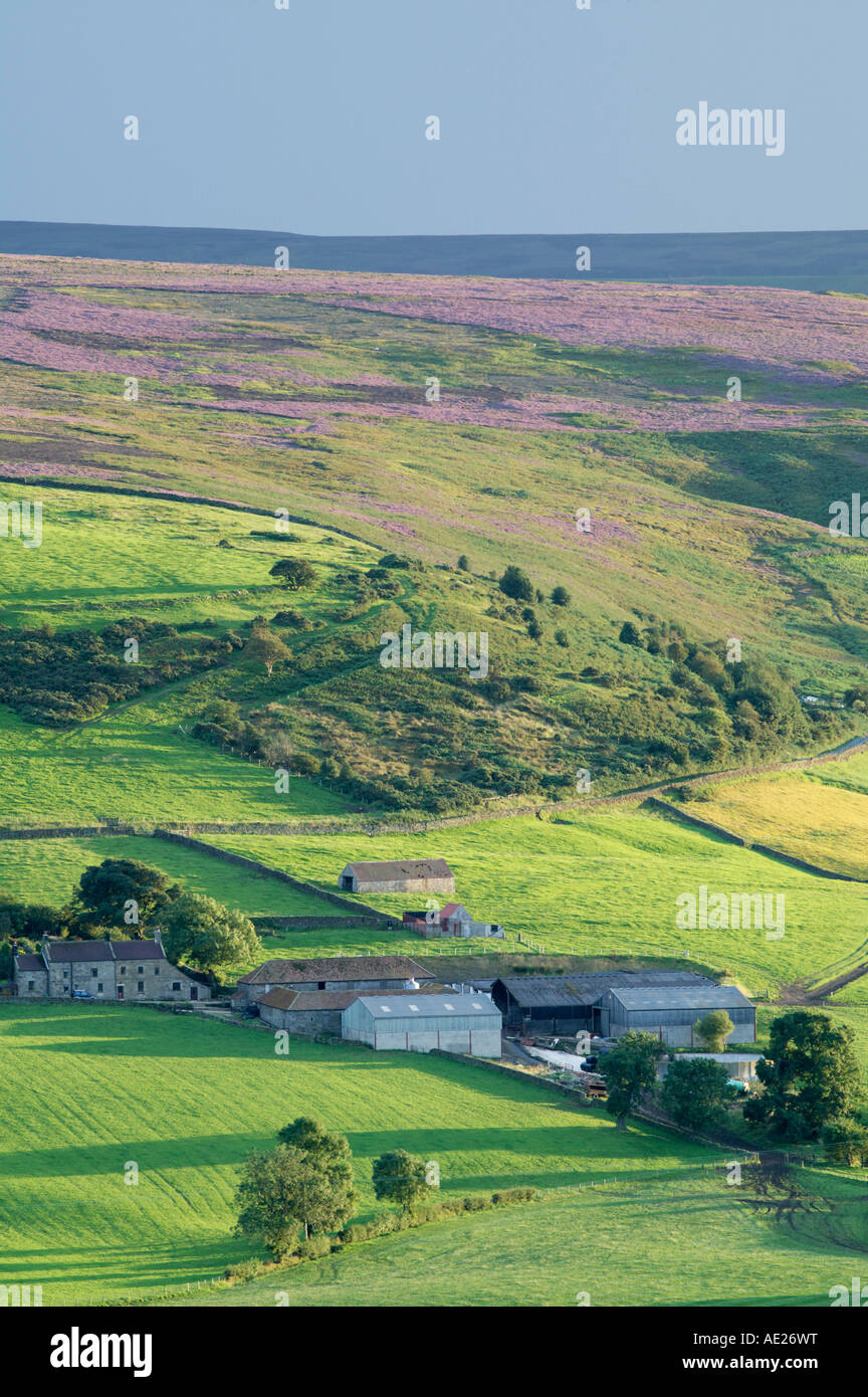 Countryside danby field hi-res stock photography and images - Alamy