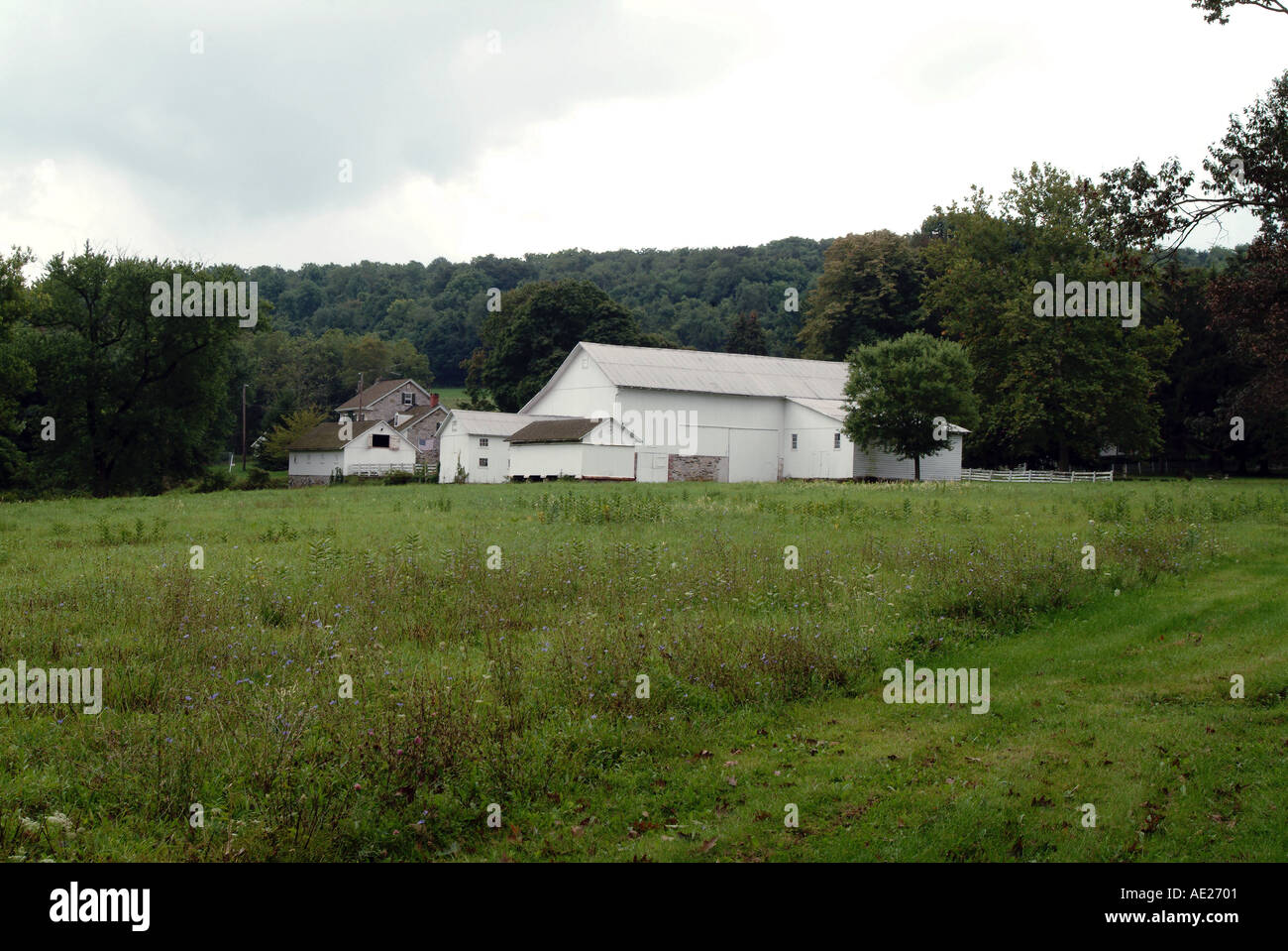 farm building corn field maize farming agriculture raise ethanol ...