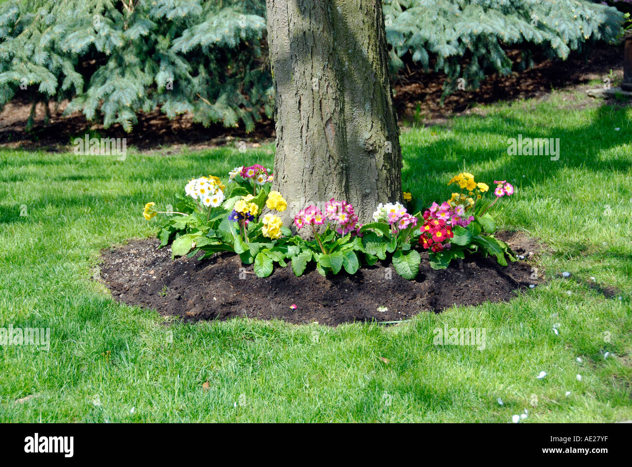 Base decorative hi-res stock photography and images - Alamy