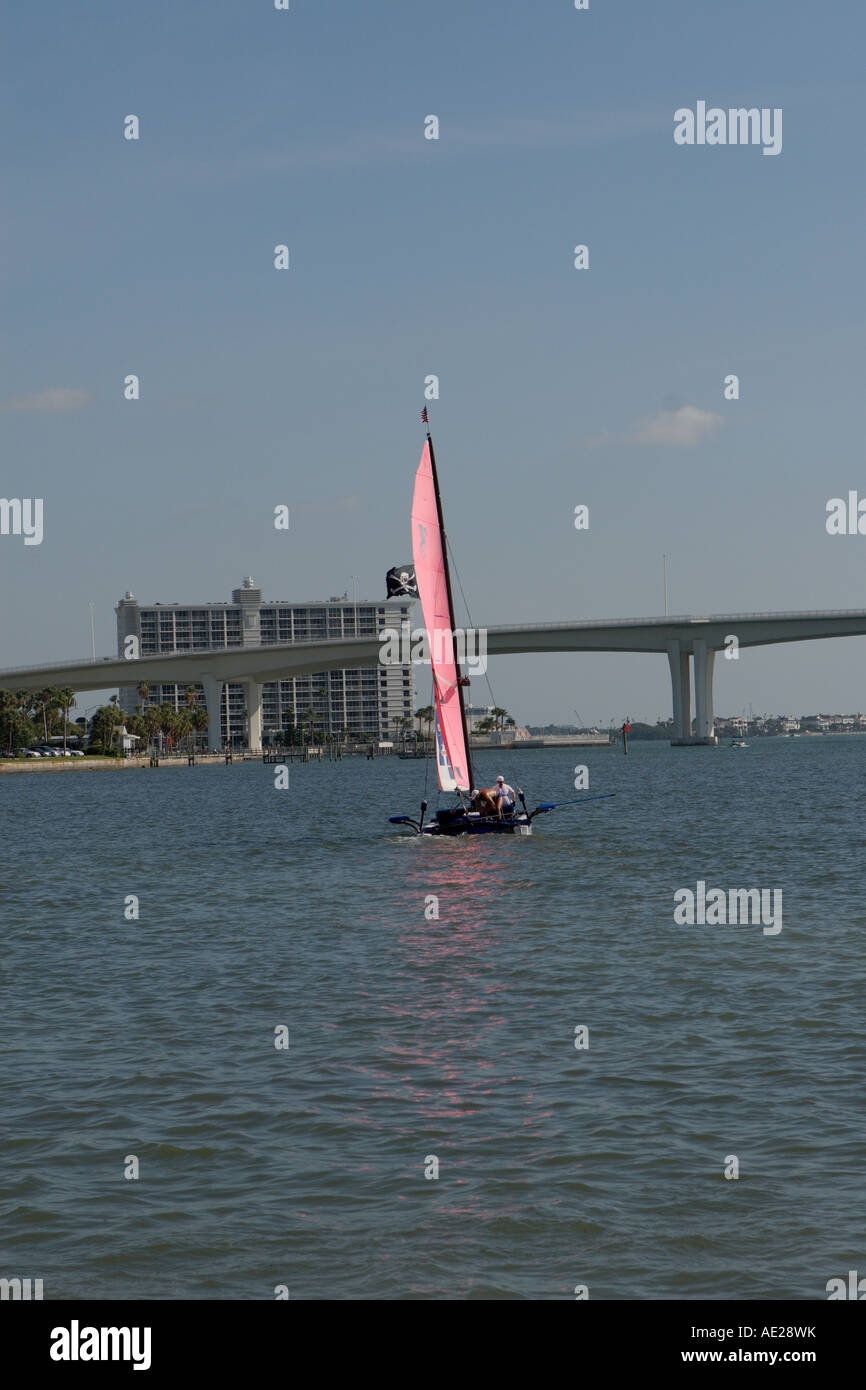 Catamaran Sailboat with Pink Sail and Pirate Flag Stock Photo - Alamy