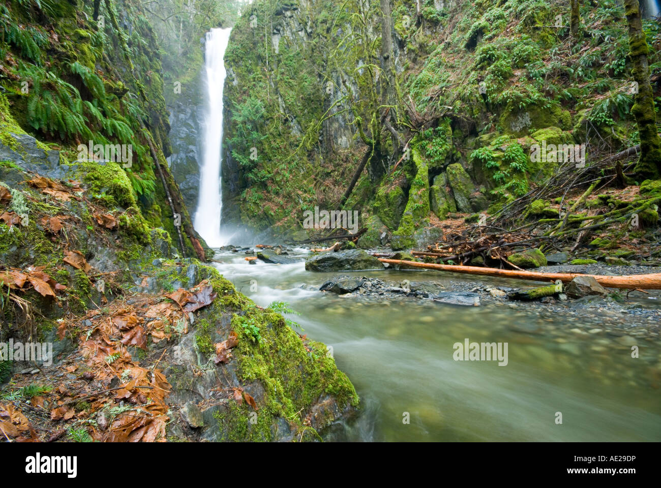 Little niagara falls in goldstream provincial park hi-res stock ... Little niagara falls in goldstream provincial park hi-res stock ...