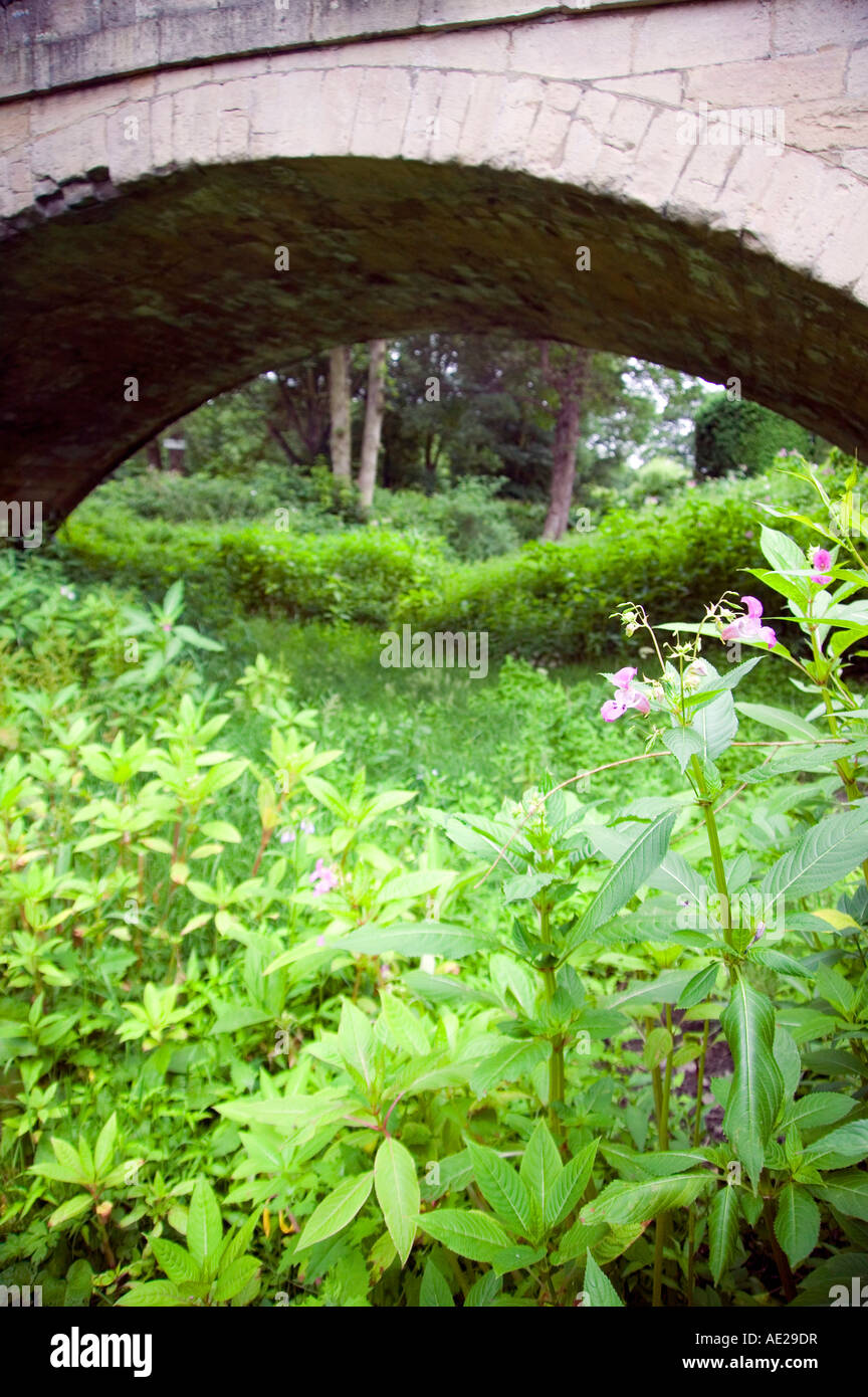 Boston Spa bridge on the River Wharfe River West Yorkshire Stock Photo ...