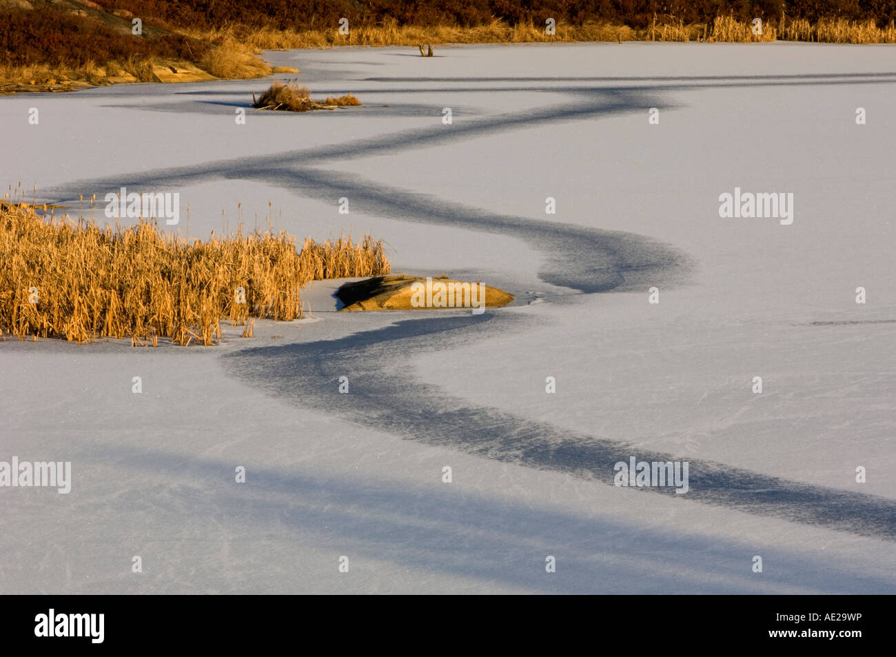 Beaver pond with fresh ice and light dusting of snow, Greater Sudbury ...