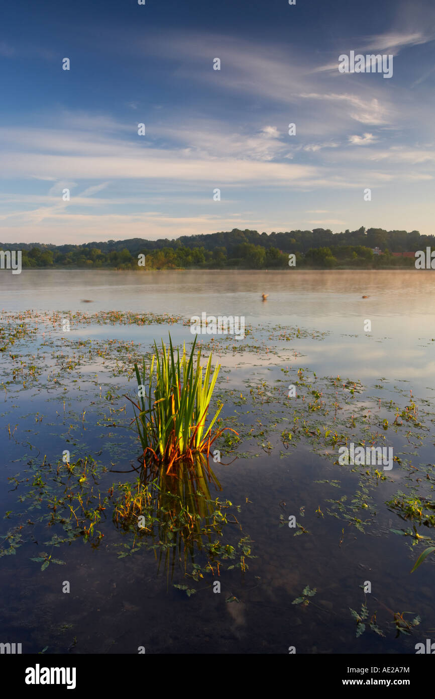Whitlingham Broad in Whitlingham Country Park on the outskirts of ...