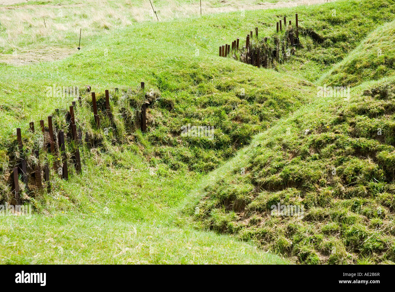 Ww1 trench line hi-res stock photography and images - Alamy