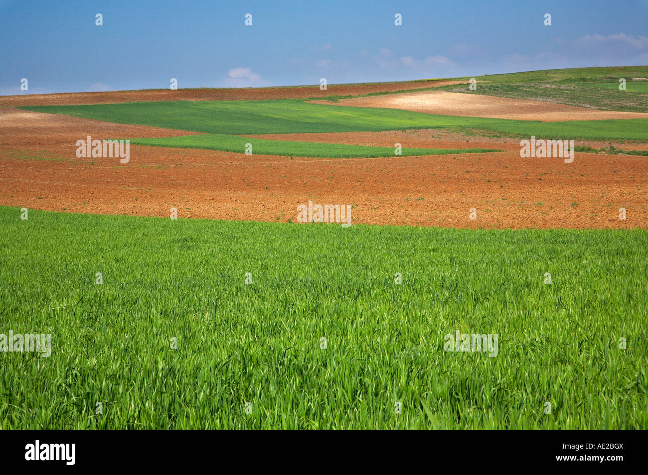 Cultivate landscape hi-res stock photography and images - Alamy