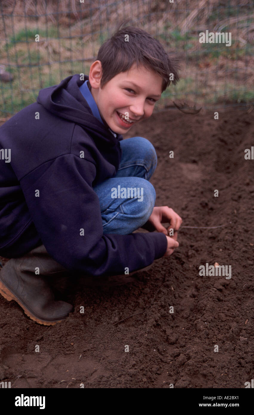 Young boy planting vegetable seeds in the garden Stock Photo - Alamy