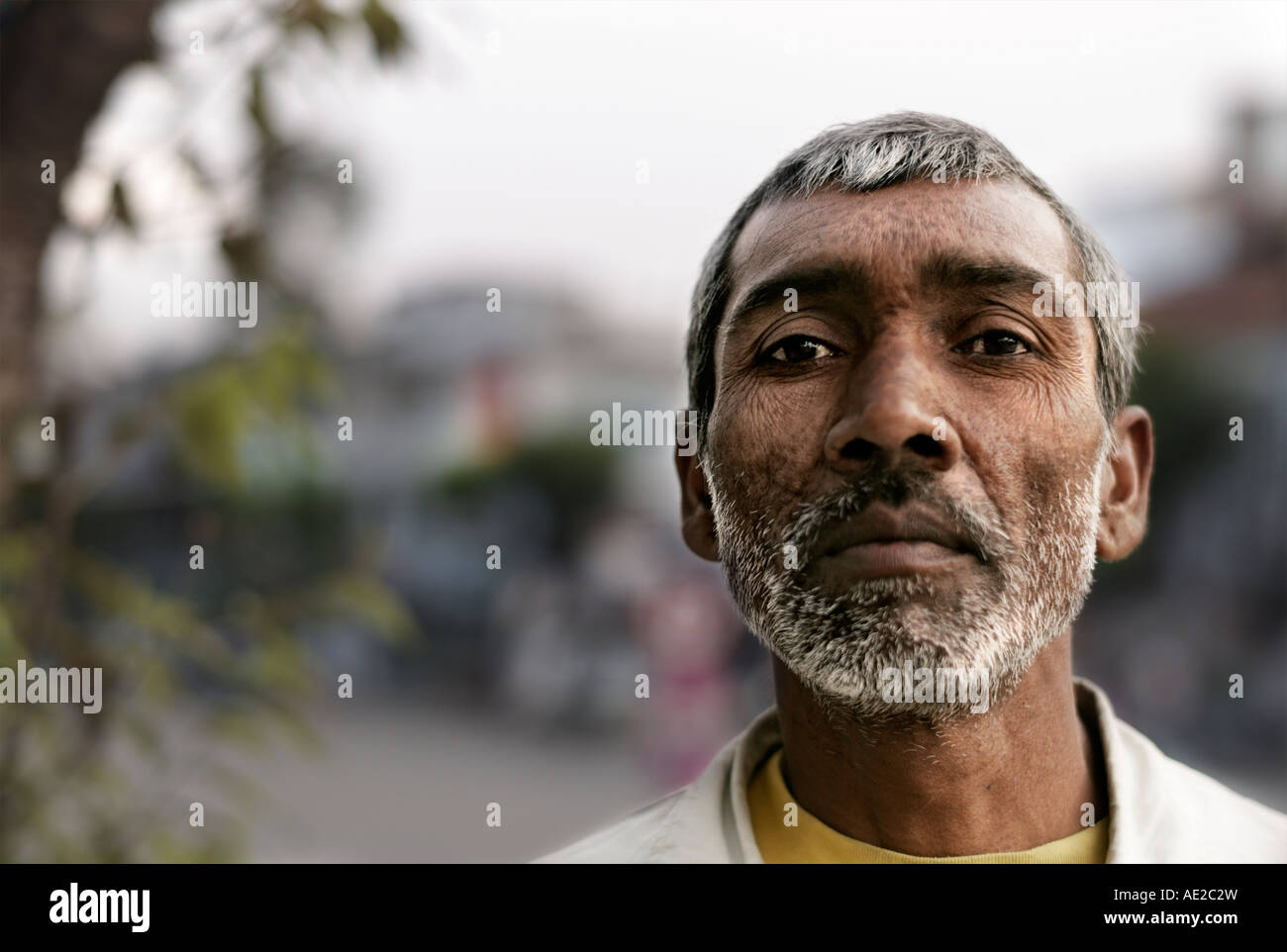Portrait of Nepalese man Stock Photo - Alamy