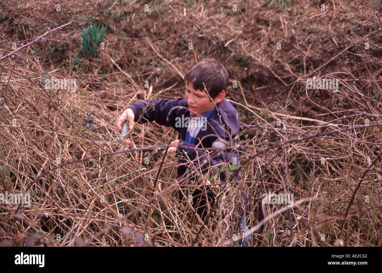 Cutting overgrowth hi-res stock photography and images - Alamy