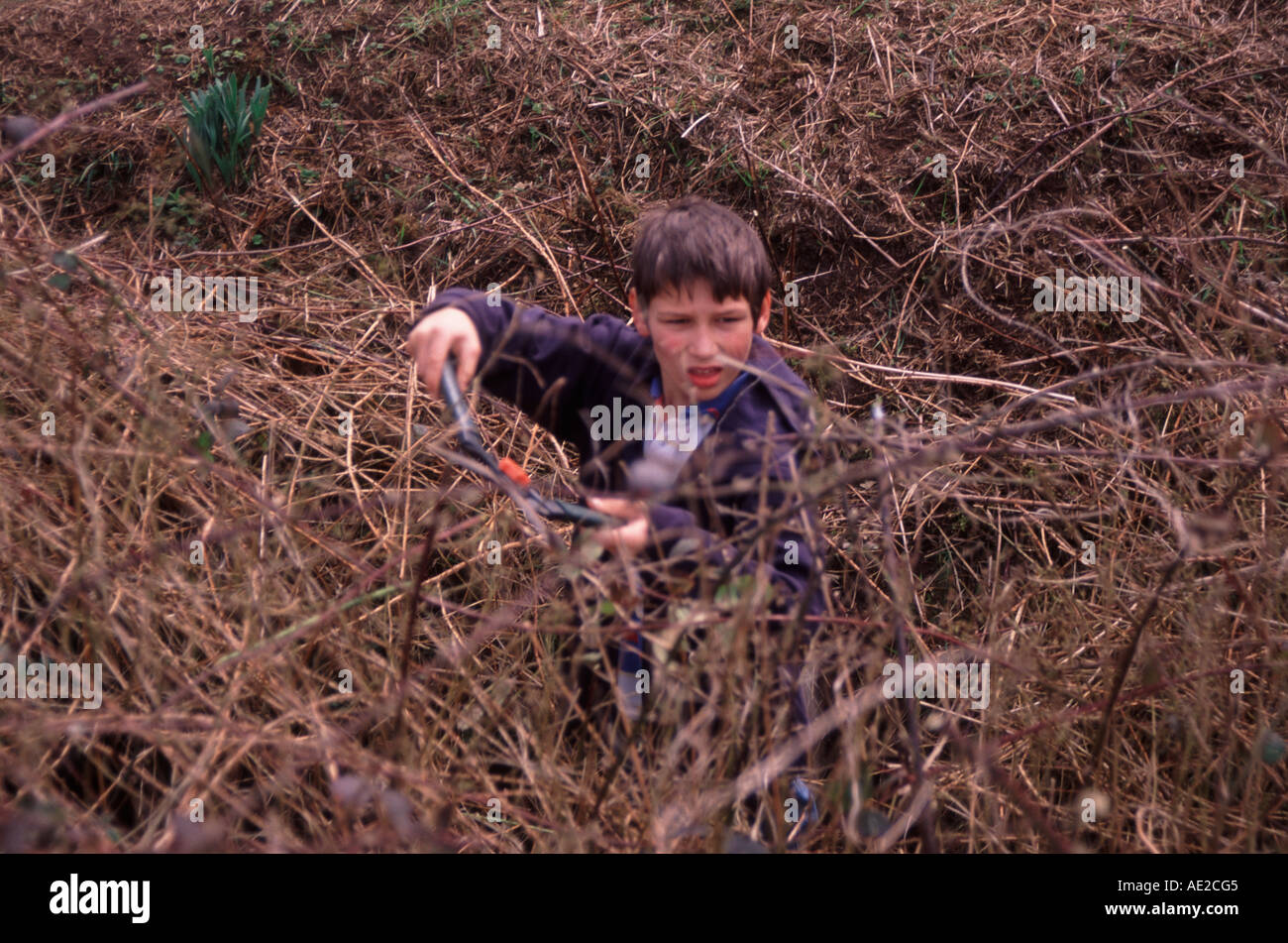 Young boy cutting brambles in overgrown garden Stock Photo - Alamy