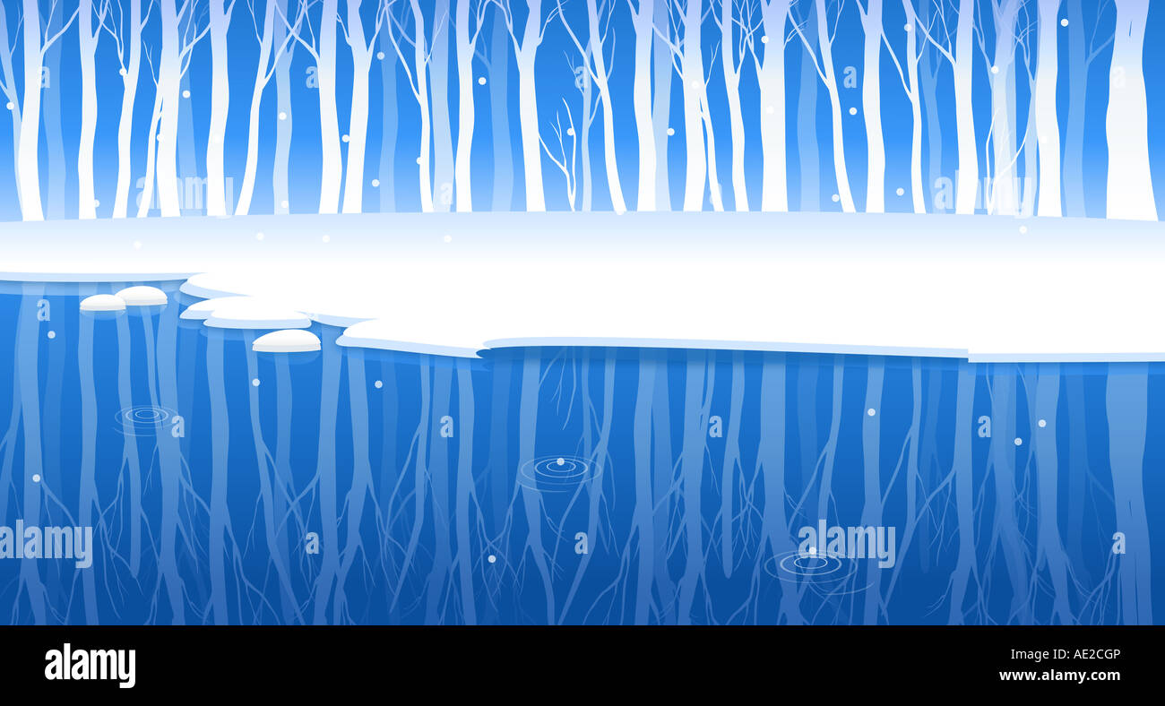 Reflection of tree trunks in a lake Stock Photo - Alamy