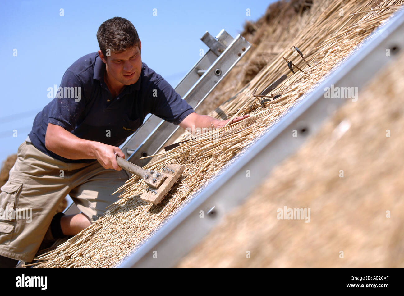 Tim Phipps an apprentice tradional roof thatcher who has won a grant to ...