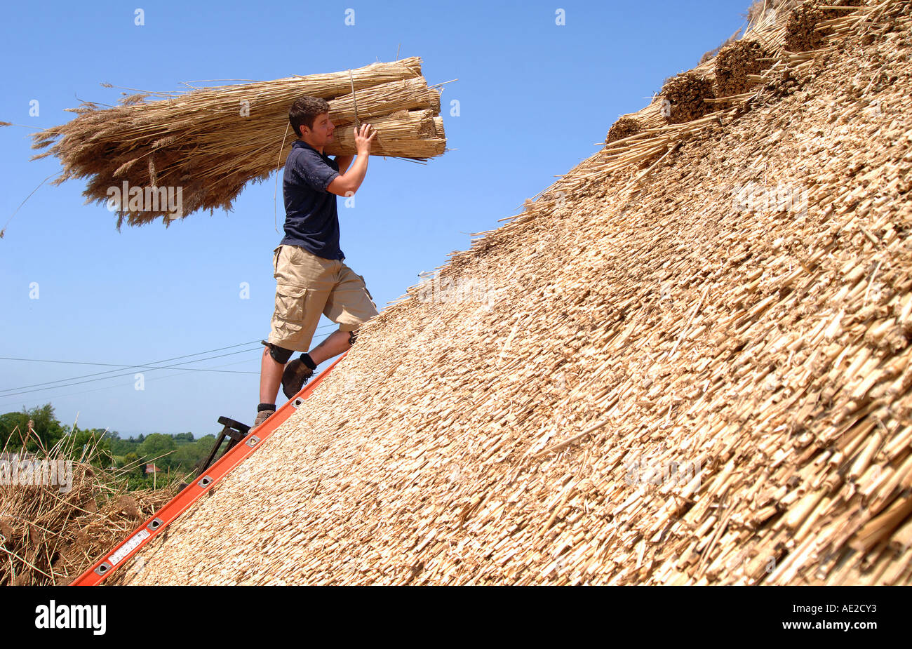Picture By Jim Wileman 08 06 2006 Tim Phipps an apprentice thatcher who ...