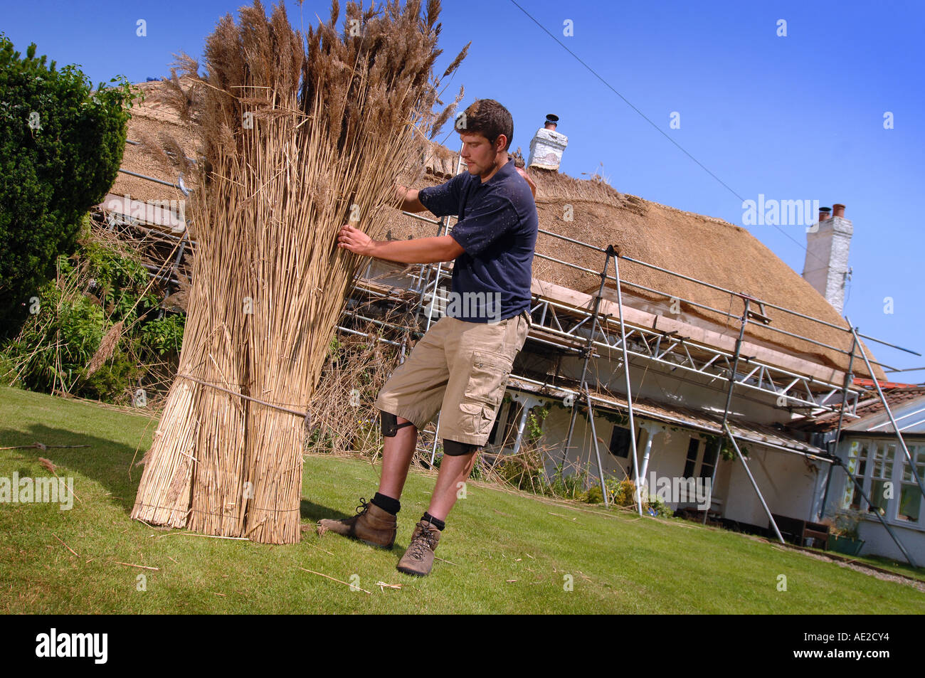 Picture By Jim Wileman 08 06 2006 Tim Phipps an apprentice thatcher who ...