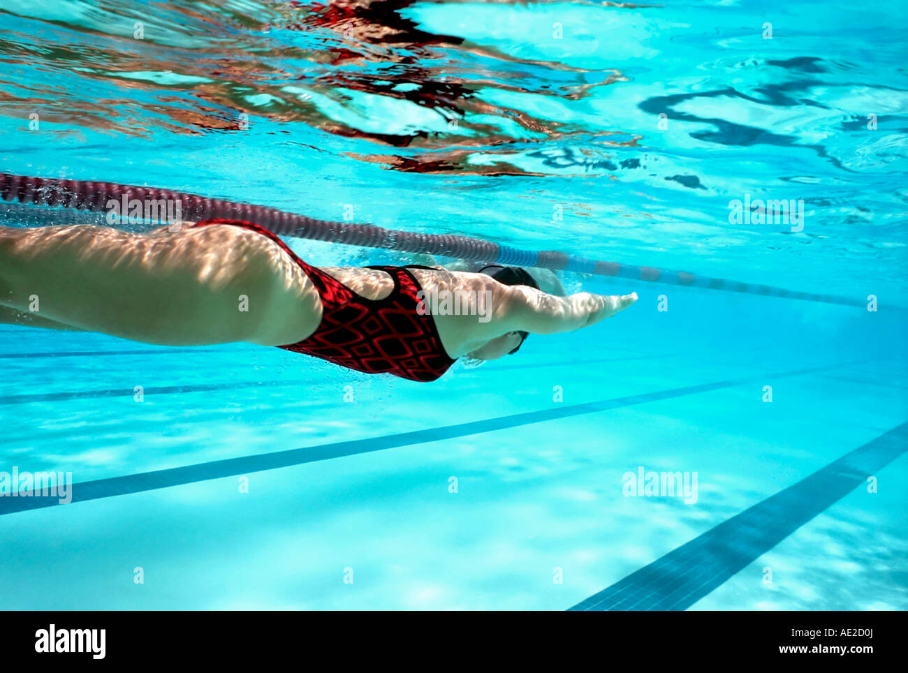 Underwater View of competitive swimmer Stock Photo - Alamy