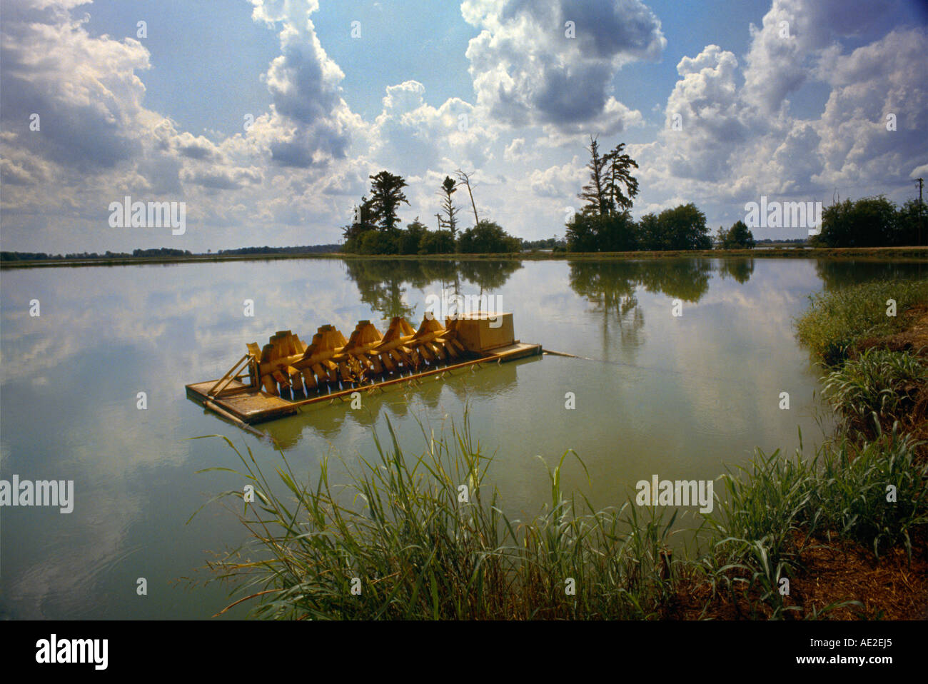 Mississippi Usa Cat Fish Farming On The Mississippi River Stock Photo ...