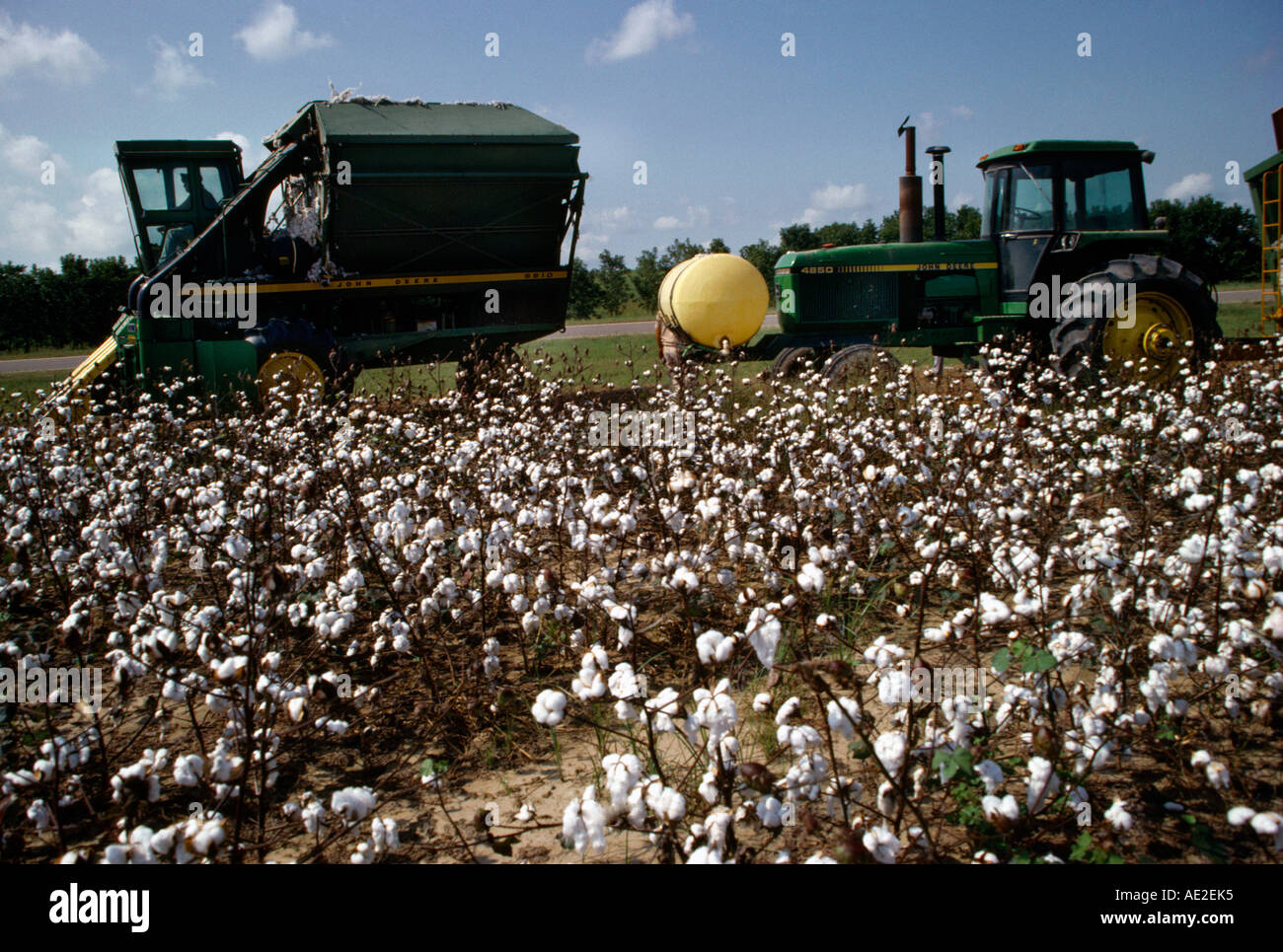 Mississippi Usa Cotton Harvesting Tractor Stock Photo - Alamy