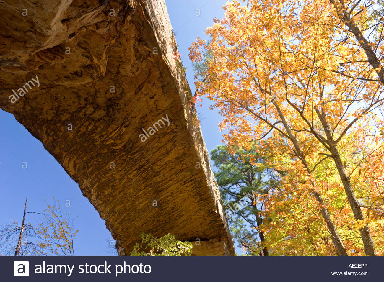 Natural Bridge State Park Kentucky Stock Photos & Natural Bridge State ...