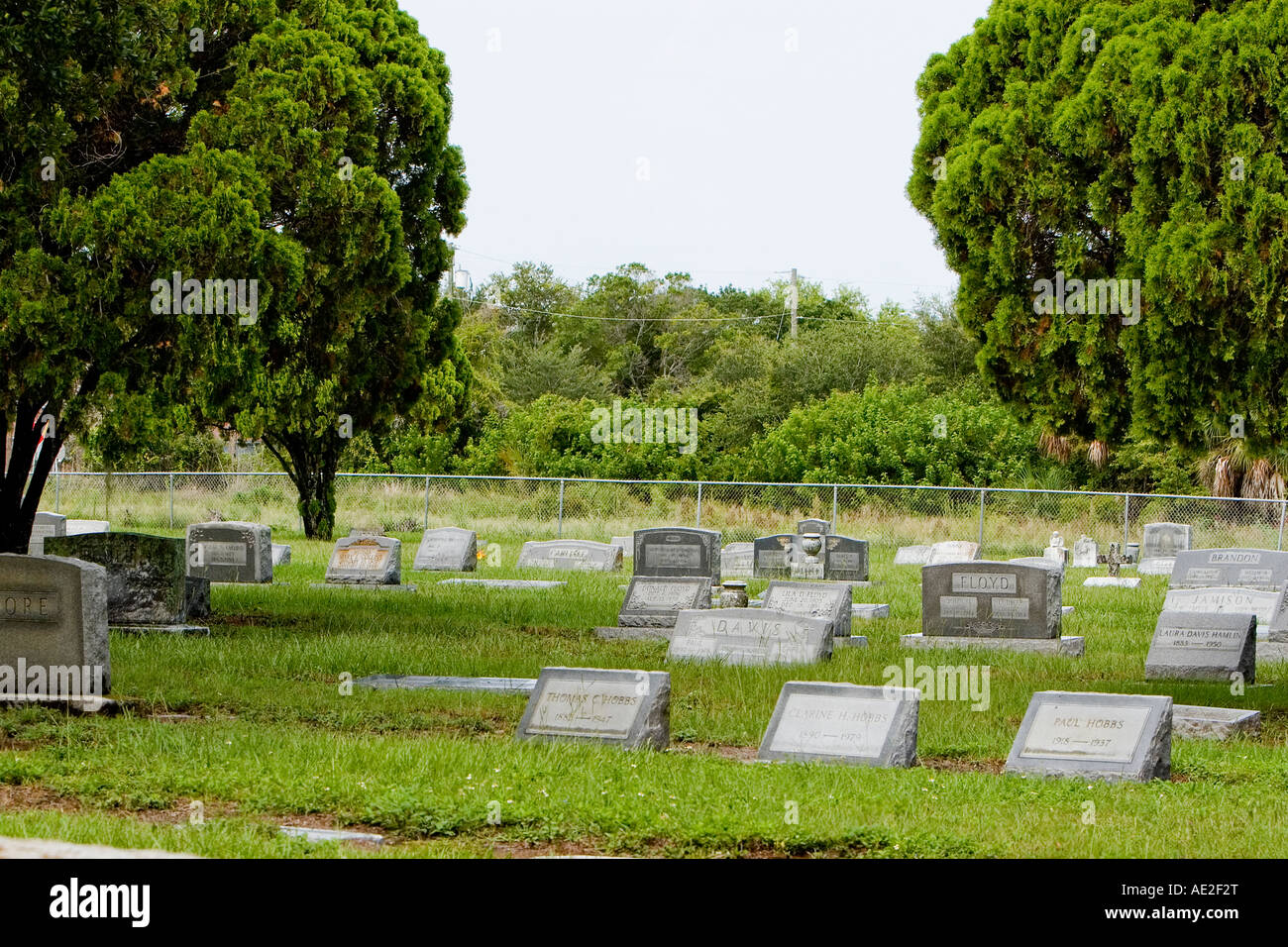 1950's era Human Grave Sites in a Field of Green Grass Stock Photo - Alamy