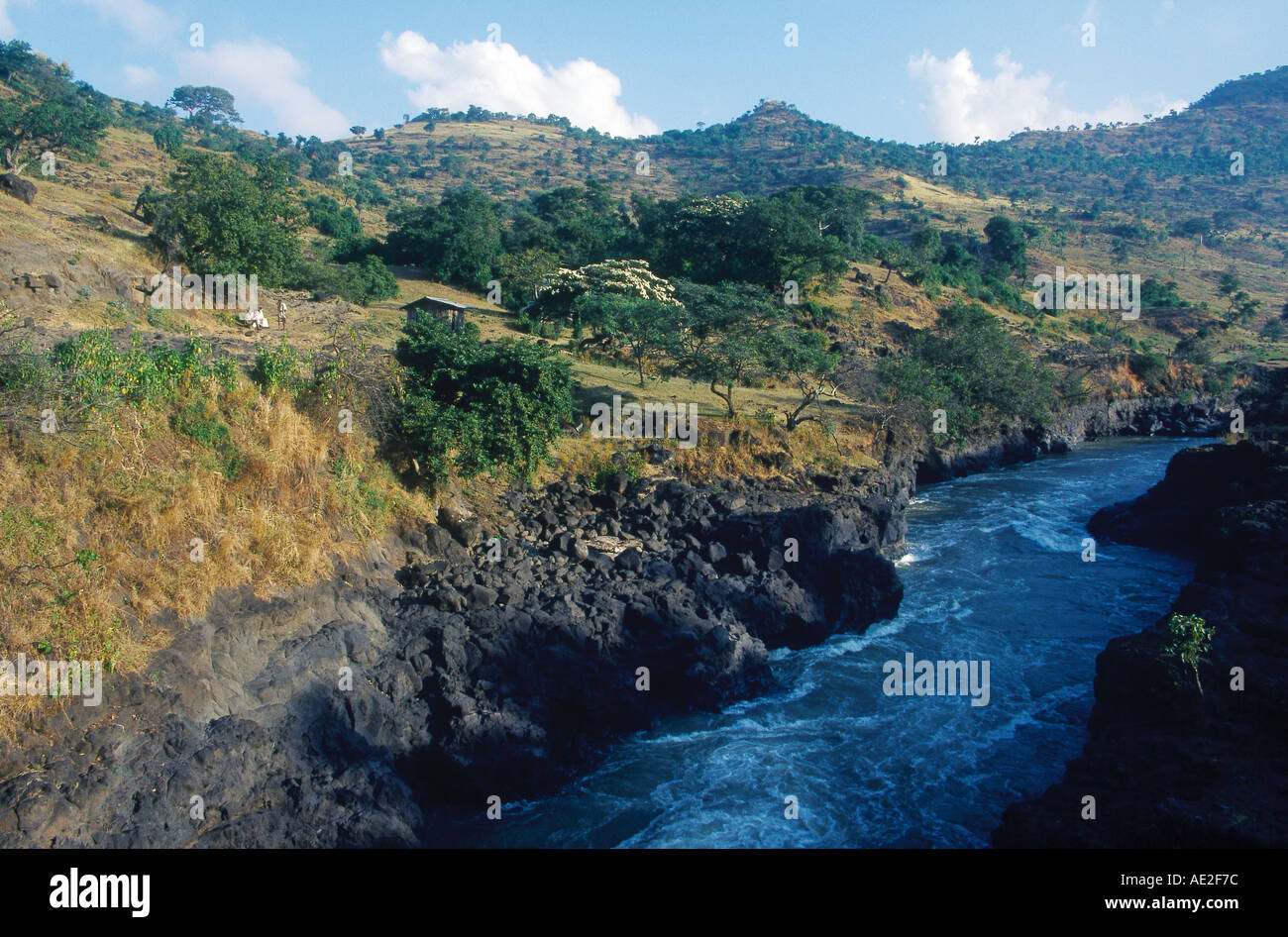 LAKE TANA ETHIOPIA Africa Ethiopia Stock Photo - Alamy