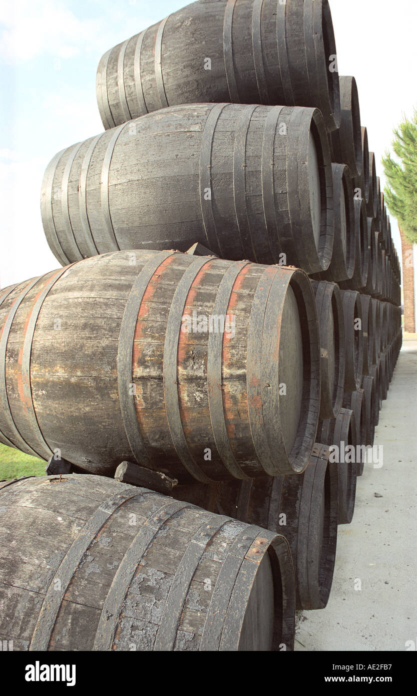 The Jerez sherry wine region of Spain Stock Photo - Alamy