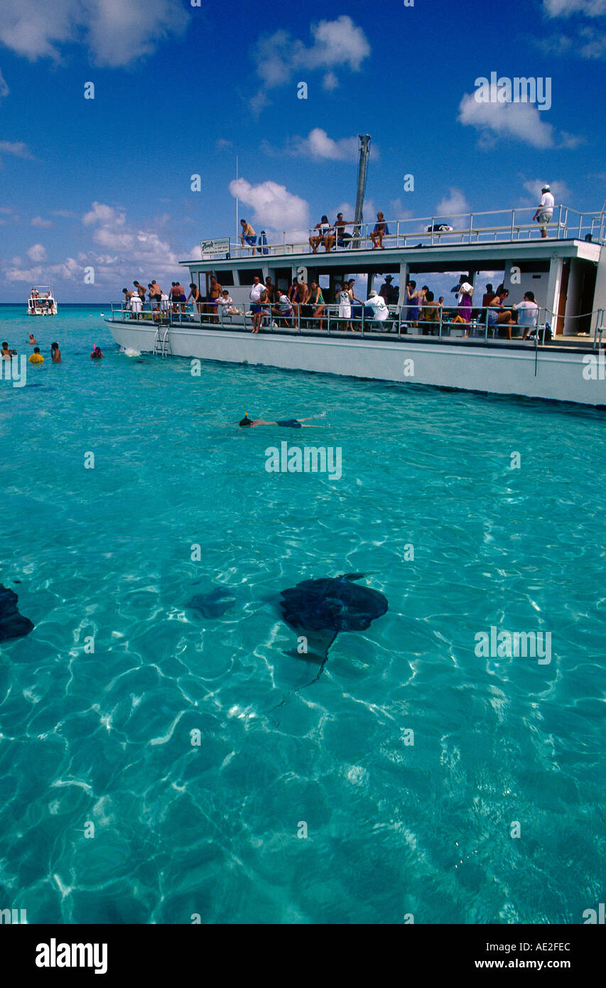 STINGRAY CITY GRAND CAYMAN CAYMAN ISLANDS Cayman Islands Stock Photo ...