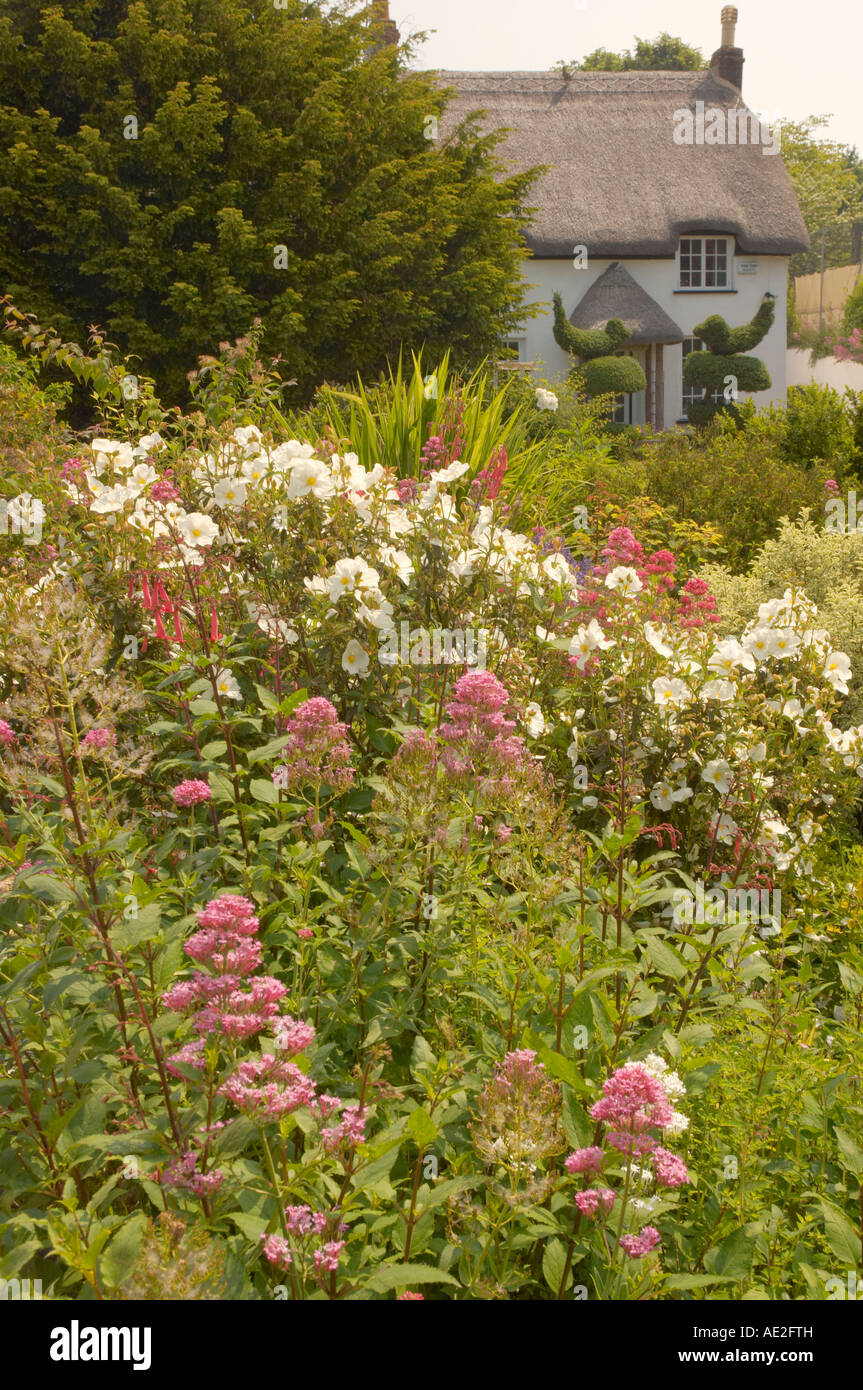 Ide cottage Exeter Devon UK Stock Photo - Alamy