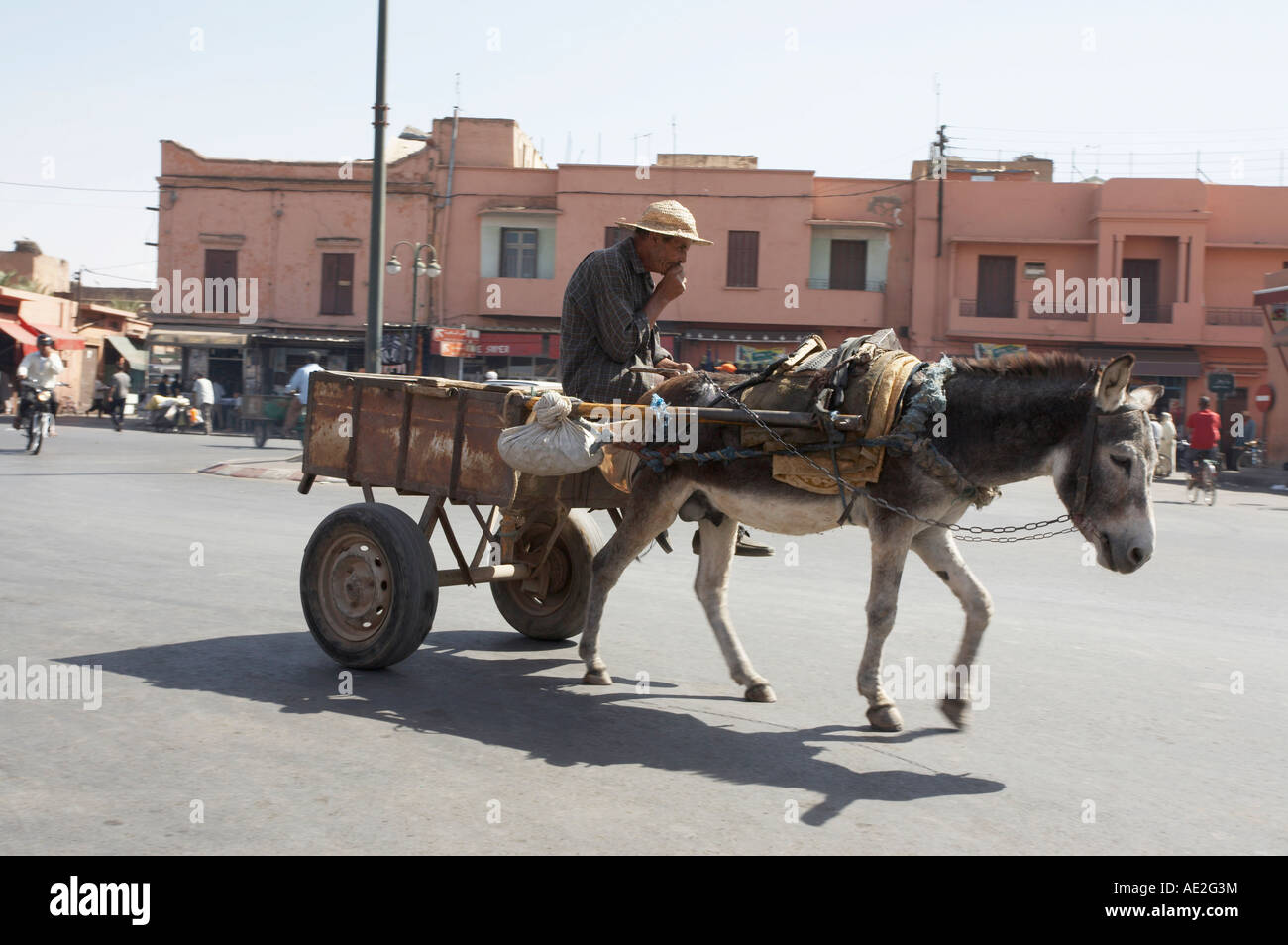A man on a donkey cart in Morocco Stock Photo - Alamy