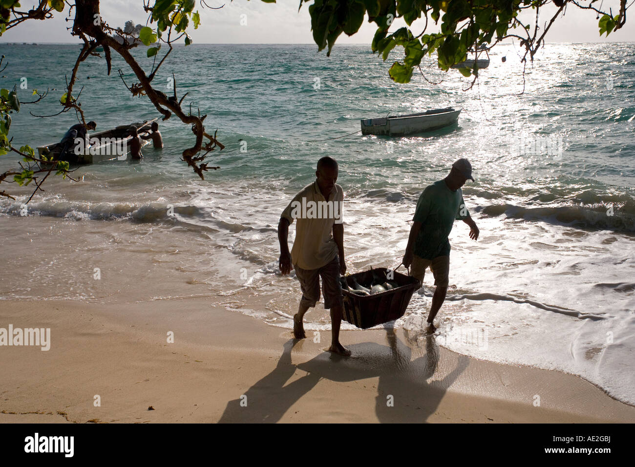 Fishermen bringing the catch on Anse Royale Mahe Island Seychelles ...