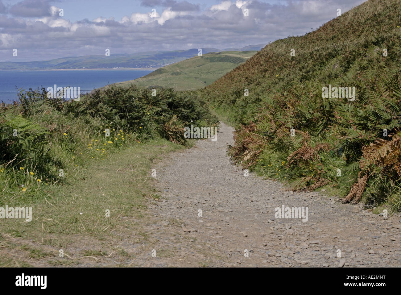 Coastal path along cliff top at Aberystwyth, Wales Stock Photo - Alamy