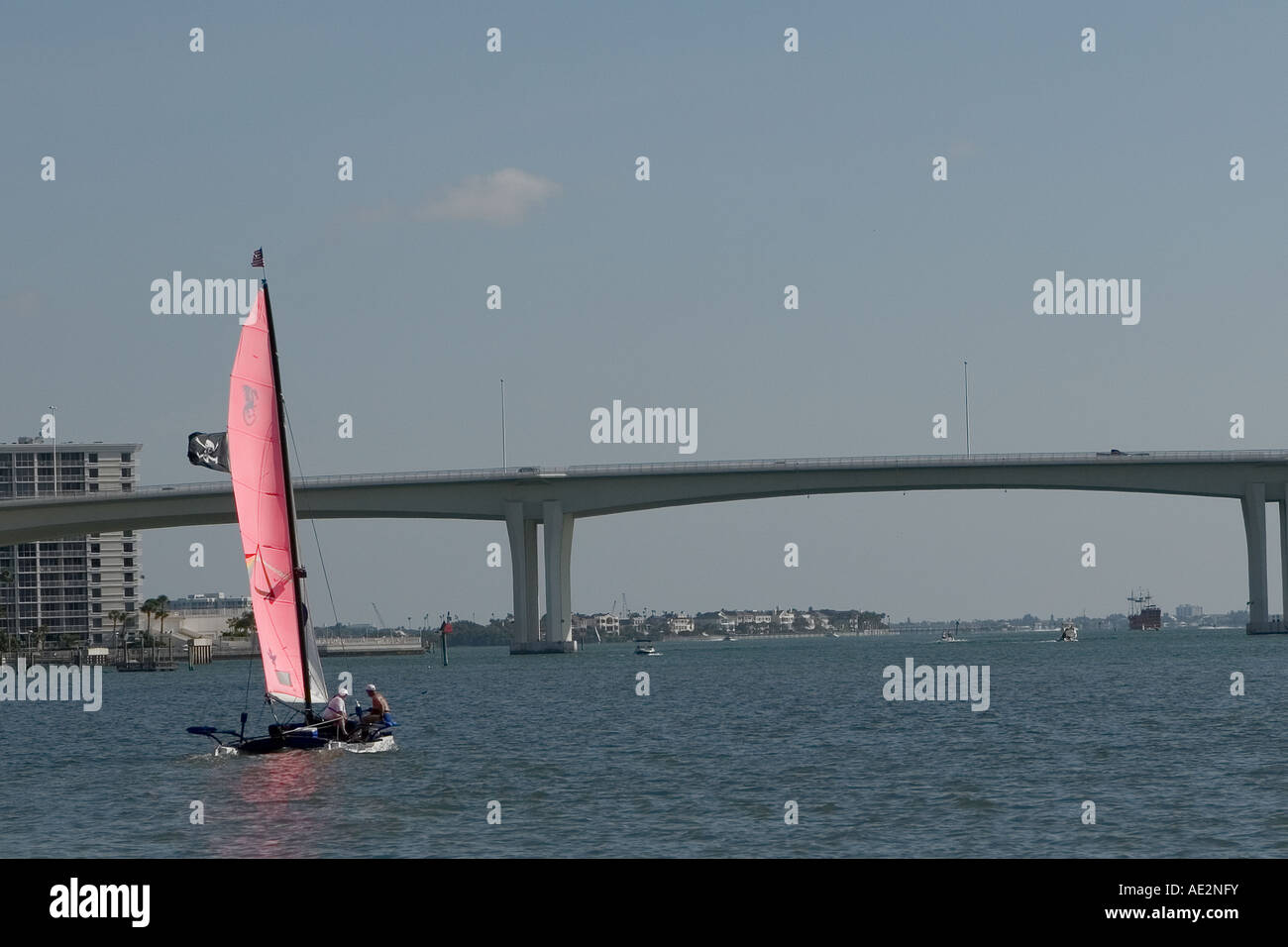 Catamaran Sailboat with Pink Sail and Pirate Flag Stock Photo - Alamy