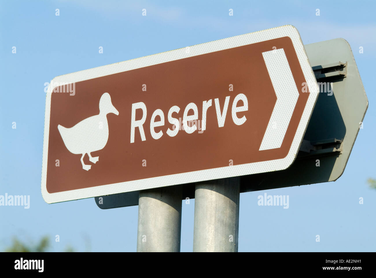 Reserves bird hi-res stock photography and images - Alamy