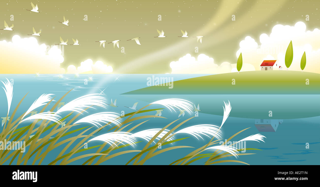 Flying birds over flower hi-res stock photography and images - Alamy